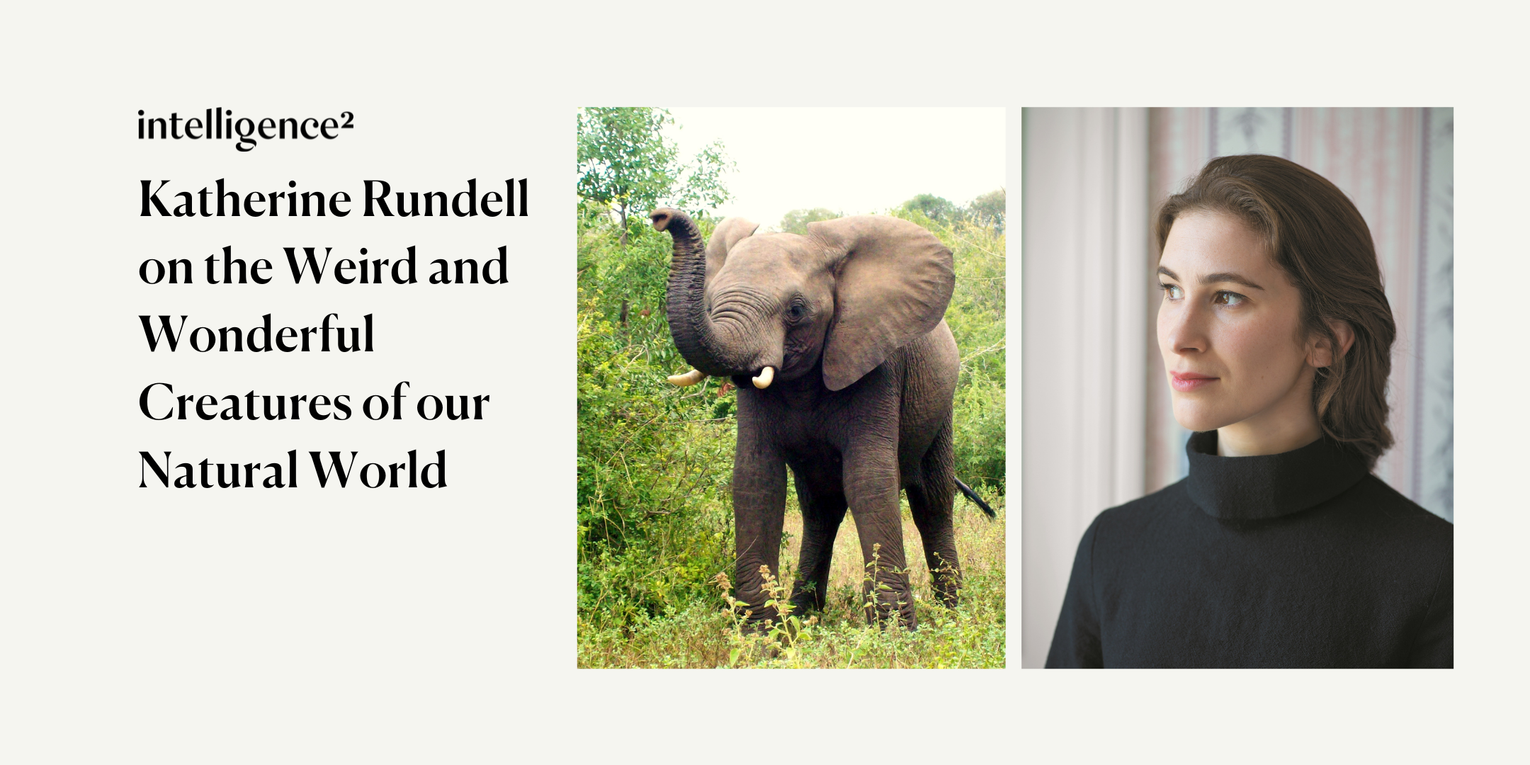 Katherine Rundell on the Weird and Wonderful Creatures of our Natural ...